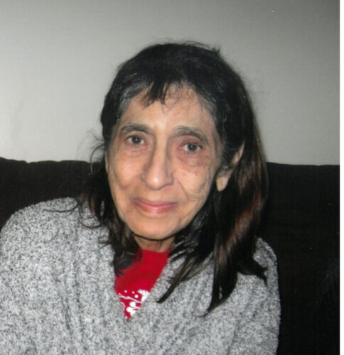 Rosemarie Manganaro-Davis | News, Sports, Jobs - The Daily News